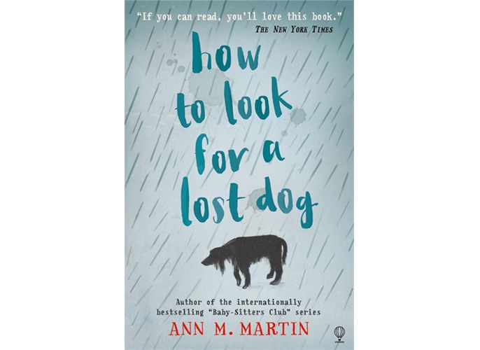 Book Review: How to look for a lost dog | Teachwire Educational Product ...