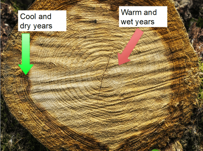 This is Geography – OCR Physical Geography KS4 Sample Lessons ...