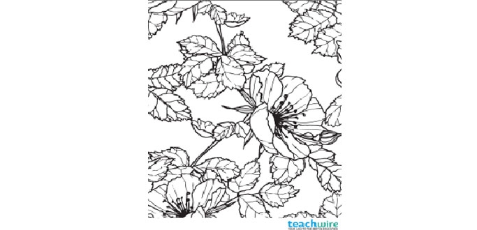 5 Full Page Patterned Flower Colouring Pages | Teachwire Teaching Resource