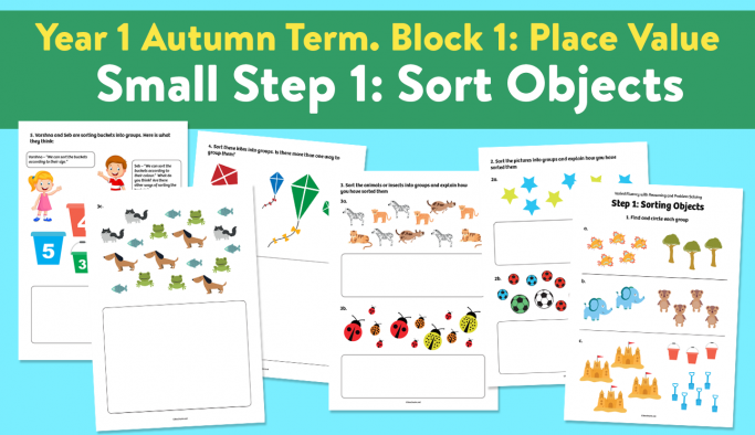 Place Value Year 1 Maths Lesson Activities – Sorting Objects ...