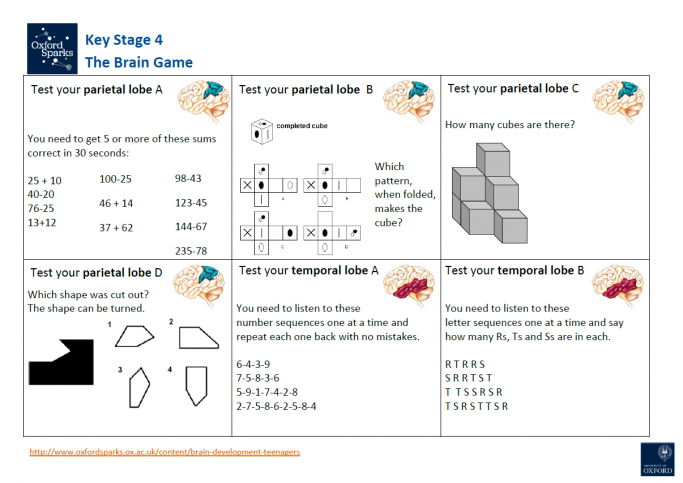 KS4 Science Lesson – The Brain Game | Teachwire Teaching Resource