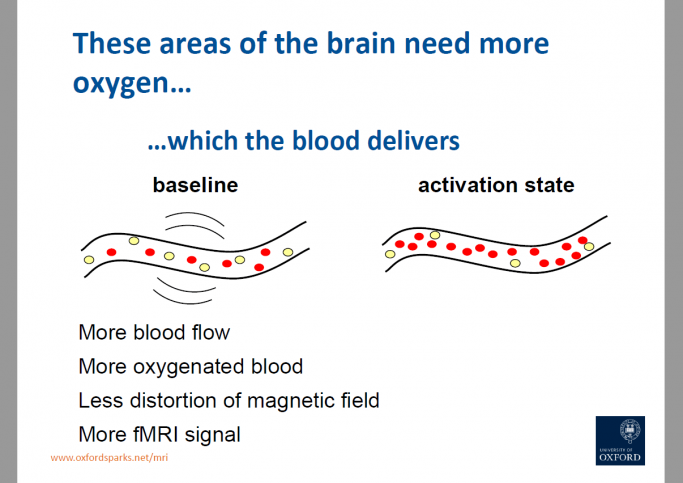 KS4 Science Lesson – Watching the Brain at Work | Teachwire Teaching ...