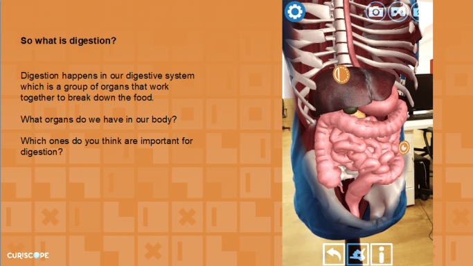 Digestive System Resources for Key Stage 1 and 2 Science | Teachwire ...