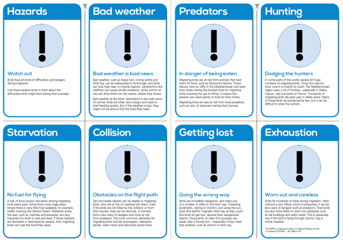 Bird Migration Lesson for KS1 and KS2 | Teachwire Teaching Resource
