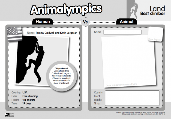 Animalympics – Compare the Athletic Abilities of Humans and Animals ...