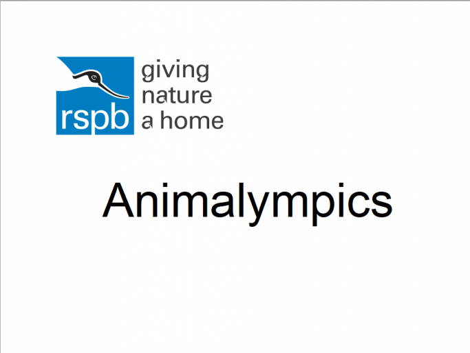 Animalympics – Compare the Athletic Abilities of Humans and Animals ...