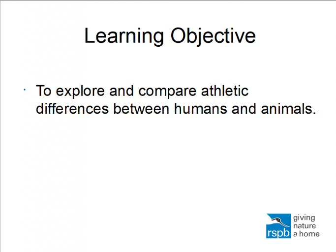 Animalympics – Compare the Athletic Abilities of Humans and Animals ...