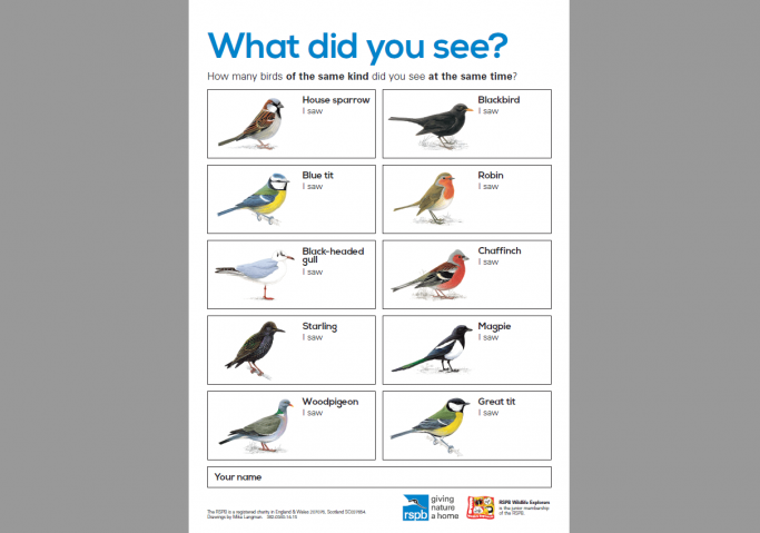RSPB Big Schools’ Birdwatch – Bird Counting Sheets | Teachwire Teaching ...