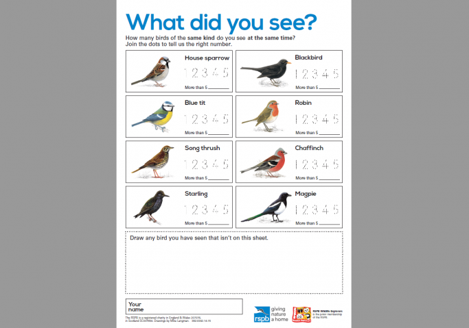 RSPB Big Schools’ Birdwatch – Bird Counting Sheets | Teachwire Teaching ...