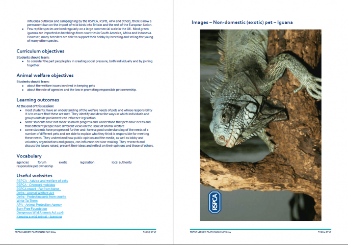 RSPCA Animals and the Law KS3 Lesson Plan – Rights and Responsibilities ...