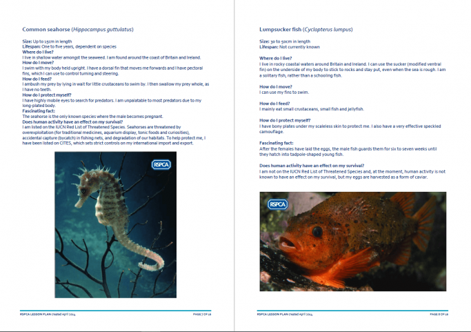 RSPCA Biodiversity KS3 Lesson Plan – Predator/Prey Relationships and ...