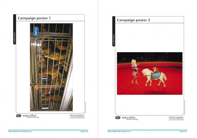 RSPCA KS3 Lesson Plan – Campaigning for Animal Welfare | Teachwire ...