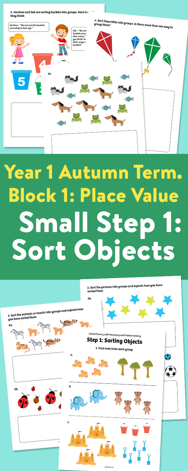 Place Value Year 1 Maths Lesson Activities – Sorting Objects ...