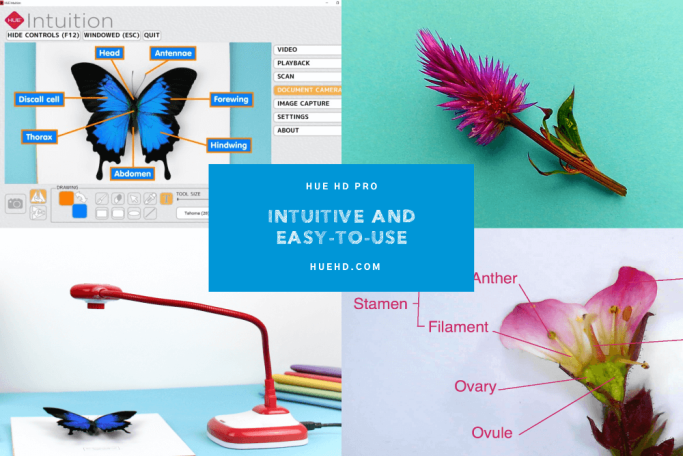 Achieve maths mastery with the HUE HD Pro Visualiser | Teachwire ...