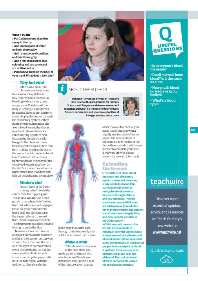 KS2 Science Lesson Plan – Mix Blood And Learn Its Biological Functions ...