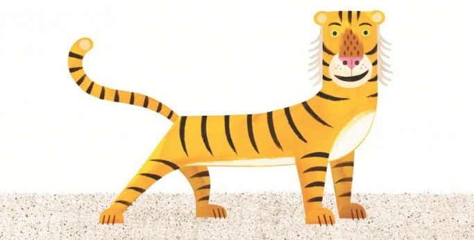 Mr Tiger Goes Wild Book Topic For KS1: Behaviour And Rules | Teachwire ...