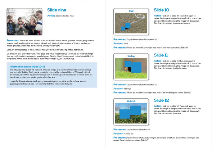 Bioblitz Teachers’ Notes for KS1/2 | Teachwire Teaching Resource
