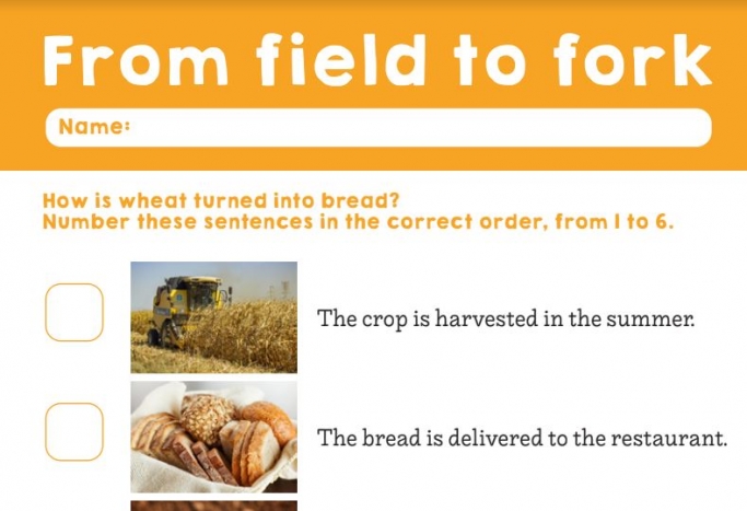 KS2 Geography & DT lesson plan and worksheet – Where does food come ...