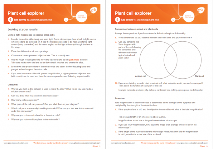 Cell Explorer Lab Activity 2: Examining Plant Cells – for KS3 Science ...