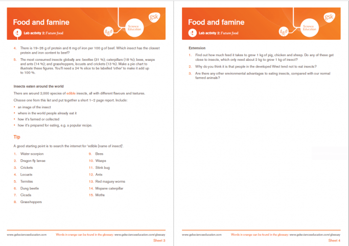 Food and Famine Lab Activity 2: Future Food – for KS3 Science ...