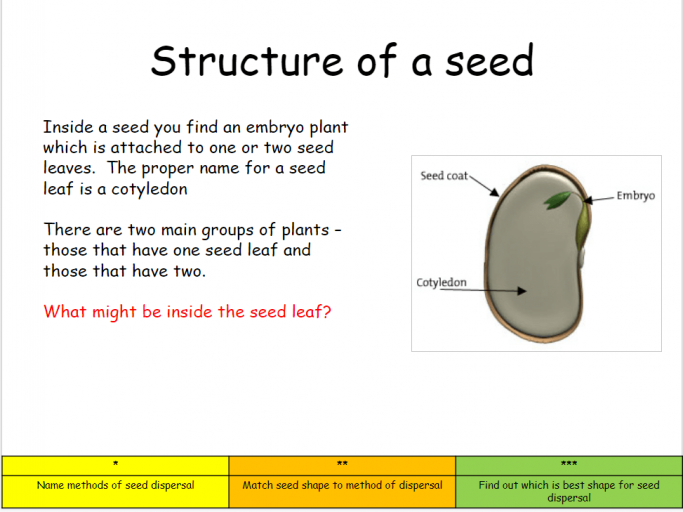 Ppt Seed Dispersal How Does It Happen Powerpoint