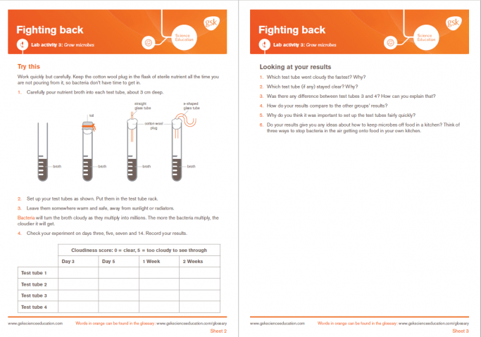 Fighting Back Lab Activity 3: Grow Microbes – for KS3 Science ...
