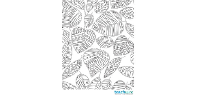 5 Full Page Patterned Flower Colouring Pages | Teachwire Teaching Resource
