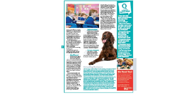 How Animals Help Us – Cross Curricular Lesson Plan For KS2 | Teachwire ...
