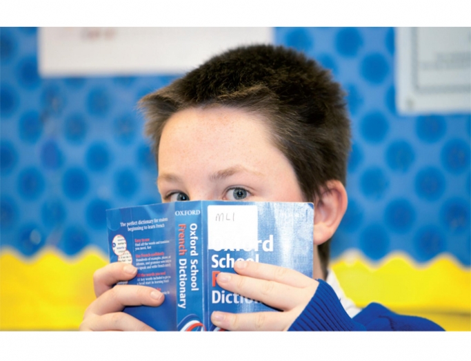 KS4 MFL Lesson Plan – Run A Collaborative Learning Session Based Around ...