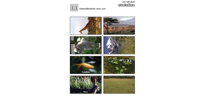 Adaptation in Animals – evolutionary science activity for KS2 ...