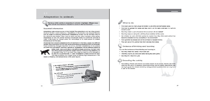 Adaptation in Animals – evolutionary science activity for KS2 ...