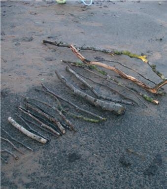 Nature Nurture – Cross-Curricular Outdoor Activities For EYFS ...