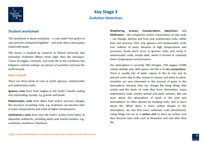 KS3 Science Lesson – Evolution Detectives | Teachwire Teaching Resource