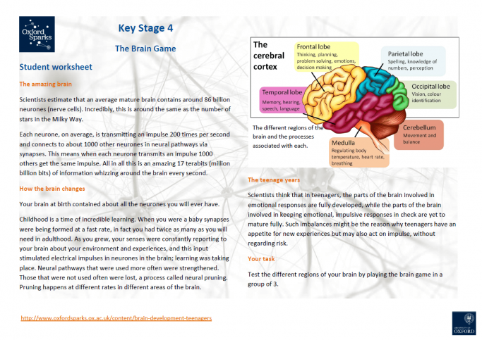 KS4 Science Lesson – The Brain Game | Teachwire Teaching Resource