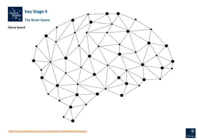 KS4 Science Lesson – The Brain Game | Teachwire Teaching Resource