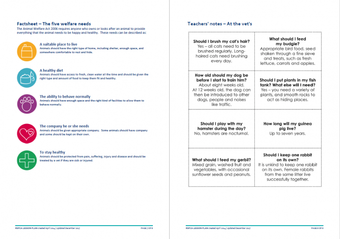 RSPCA Pets KS1/2 Lesson Plan – How do we Look After Pets? | Teachwire ...