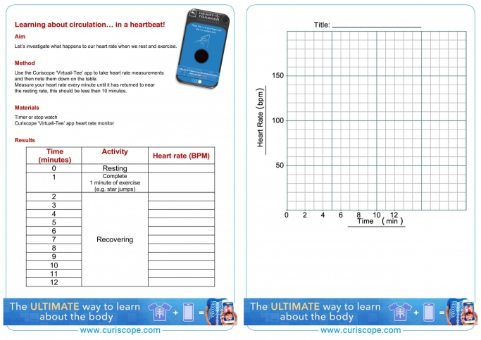 Circulatory System Resources for Key Stage 1 and 2 Science | Teachwire ...