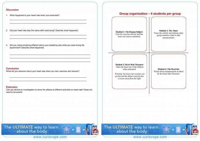 Circulatory System Resources for Key Stage 1 and 2 Science | Teachwire ...