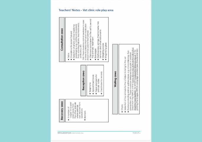 RSPCA Caring for our Pets Lesson for Early Years | Teachwire Teaching ...