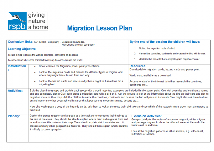 Bird Migration Lesson for KS1 and KS2 | Teachwire Teaching Resource