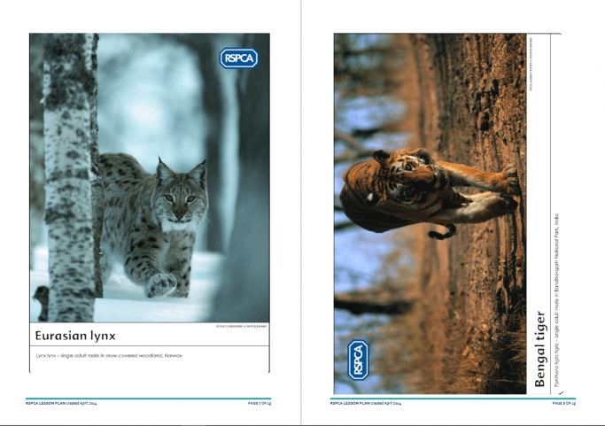 RSPCA Biodiversity KS3 Lesson Plan – Reintroducing Species: A Debate ...