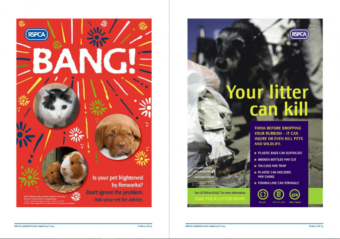 RSPCA KS3 Lesson Plan – Campaigning for Animal Welfare | Teachwire ...