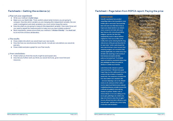 RSPCA Farming KS3 Lesson Plan – Designing a Chicken Welfare Experiment ...