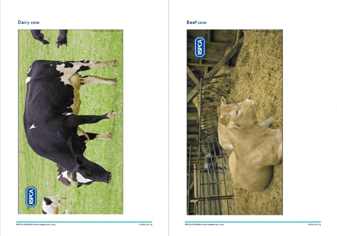 RSPCA Genetic Engineering KS4 Lesson Plan – Intensive Farming and ...