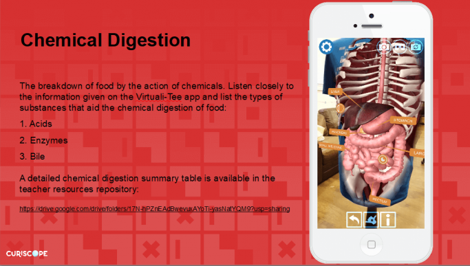 Digestive System Resources for Key Stage 3 and 4 | Teachwire Teaching ...
