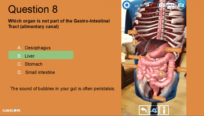 Digestive System Resources for Key Stage 3 and 4 | Teachwire Teaching ...