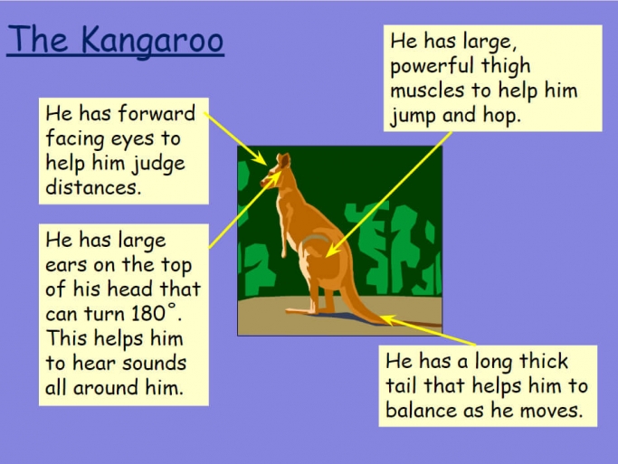 Evolution and inheritance – Plant and animal adaptations PowerPoint for ...