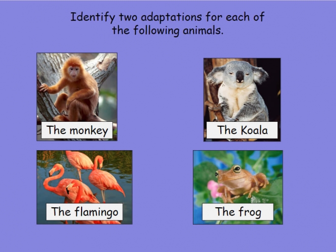 Evolution and inheritance – Plant and animal adaptations PowerPoint for ...