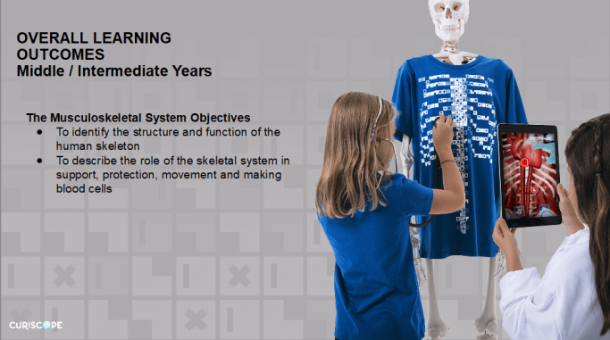 Skeletal System Resources for Key Stage 3 and 4 Science | Teachwire ...