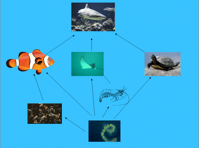 This is Geography – Physical Geography KS3 Sample Lessons | Teachwire ...